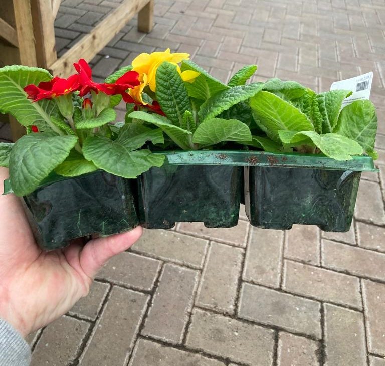 Building plant foundations - OMEX Agriculture