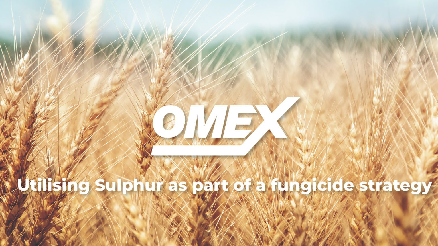 Sulphur as part of a Fungicide - OMEX Agriculture