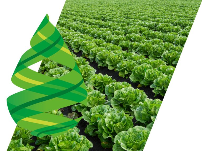 Nitroflo: Liquid Nitrogen Fertiliser | OMEX 🌱