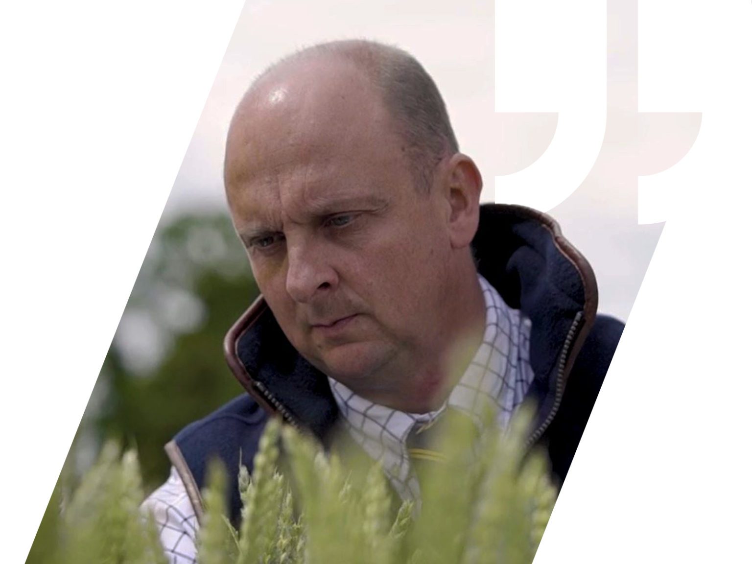 Multiflo Liquid NPK Fertilisers | NPK Fertiliser | OMEX 🌱