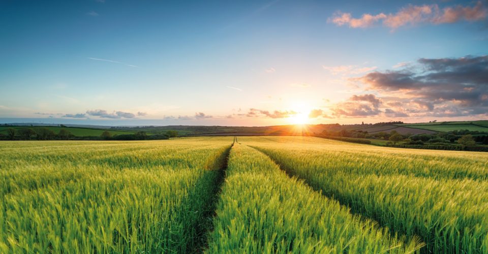 Multiflo Liquid NPK Fertilisers | NPK Fertiliser | OMEX 🌱