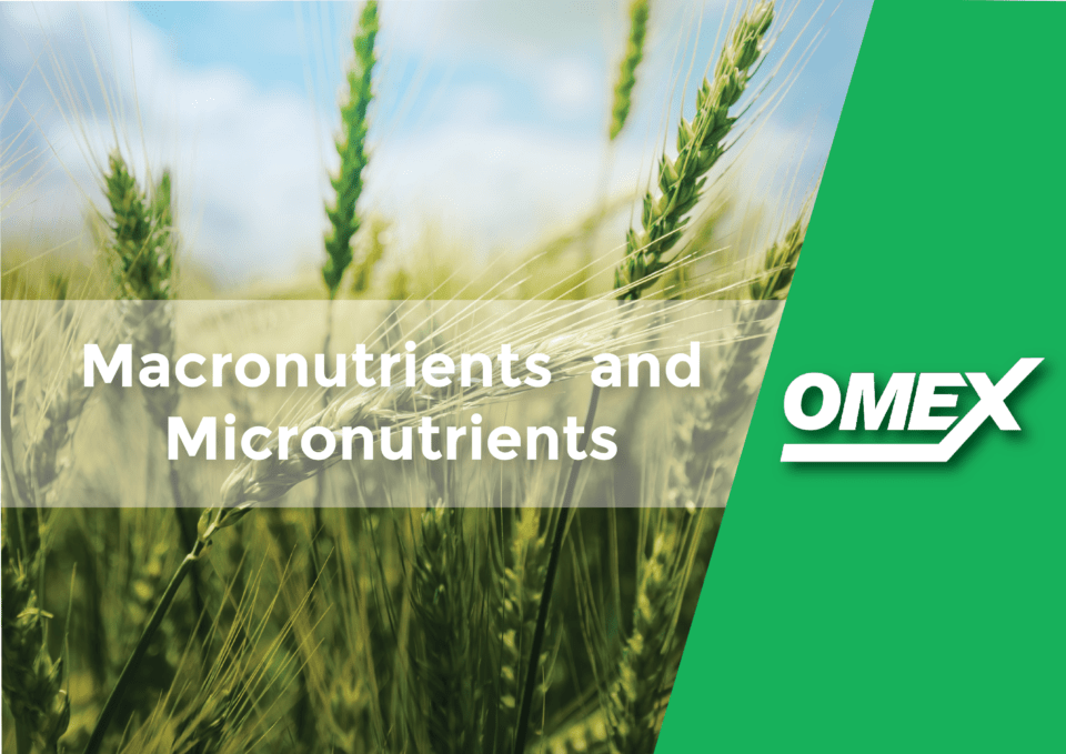 Macronutrients and Micronutrients - OMEX Agriculture