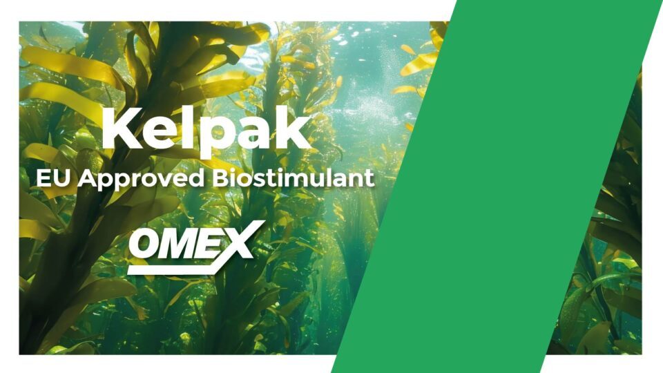 Kelpak EU Approved Biostimulant | Latest Update from OMEX
