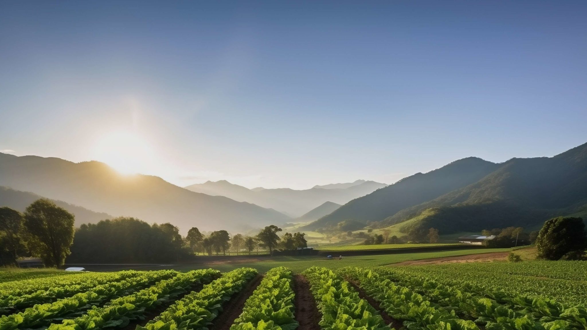 Welcome to the OMEX Group 🌱🧪